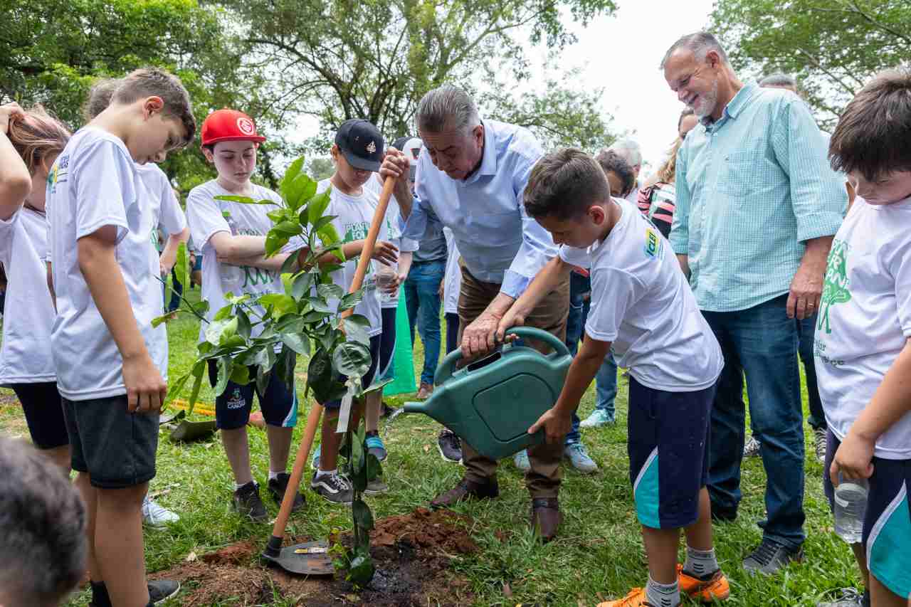 Meio ambiente: estudantes de Canoas plantam mais de cem árvores no ...