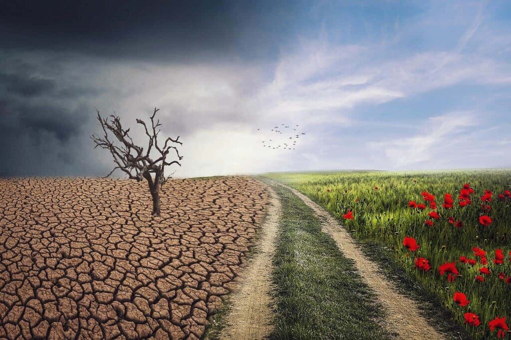 Mudanças climáticas podem causar diversas tragédias em SC - InfoDiretas ...